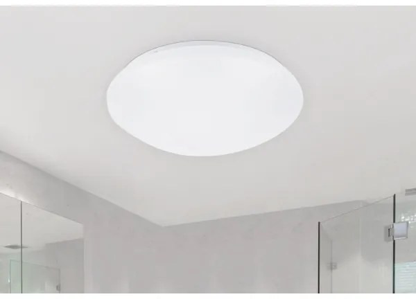 Rabalux 3436 - LED stropní svítidlo LUCAS LED/24W/230V