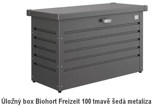 Biohort Úložný box FreizeitBox 100 Barva: stříbrná metalíza