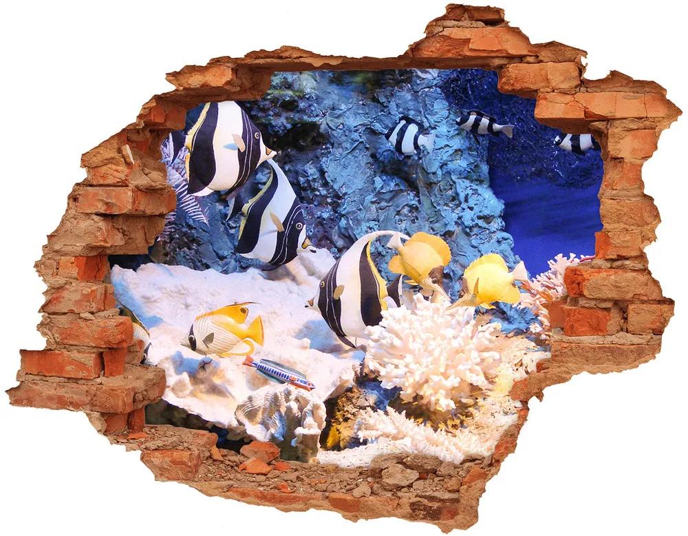 Wallmuralia Díra 3D fototapeta nálepka Korálový útes 90x70 cm