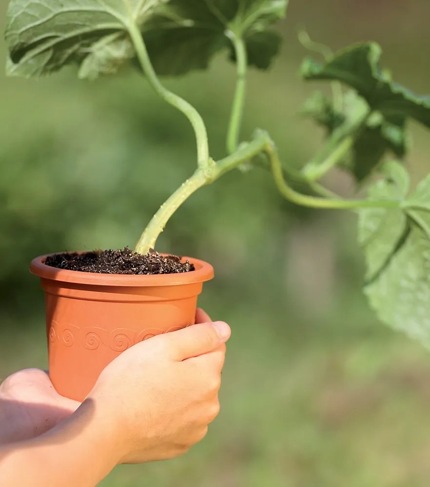 Květináč Plastica terakota