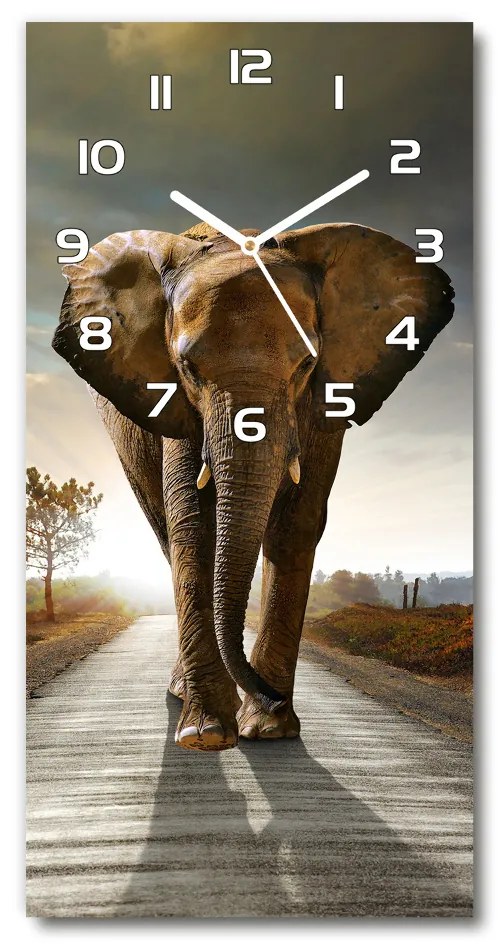 Wallmuralia Nástěnné hodiny tiché procházející se slon 30x60 cm