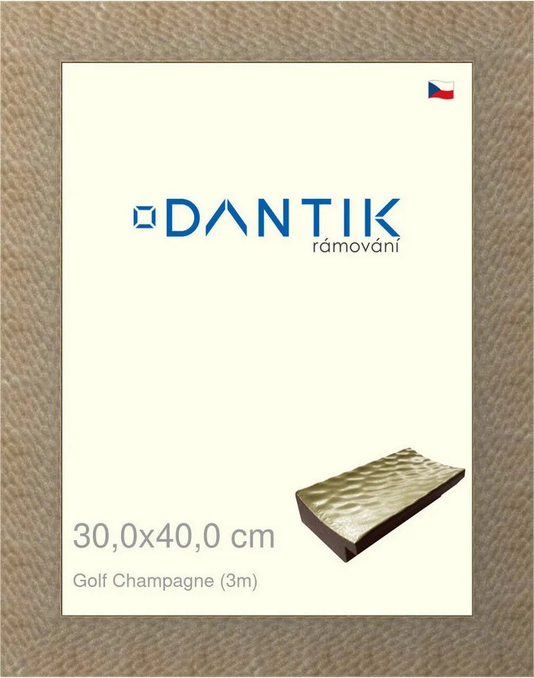 DANTIK rámeček 30x40 | Golf champagne (Plexi Čiré)