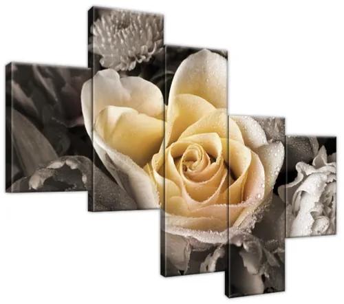 Tištěný obraz Jemná růže 100x75cm 1746A_5K