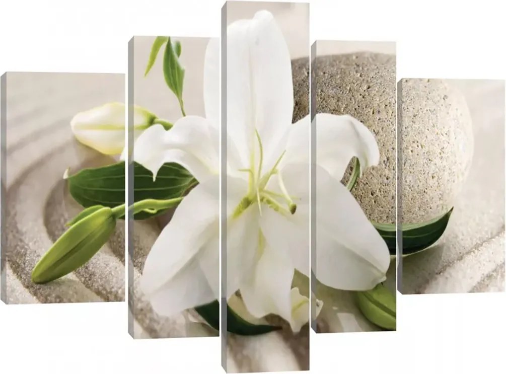 Obraz Na Plátně Canvas 170x100 Lilie Písek Spa