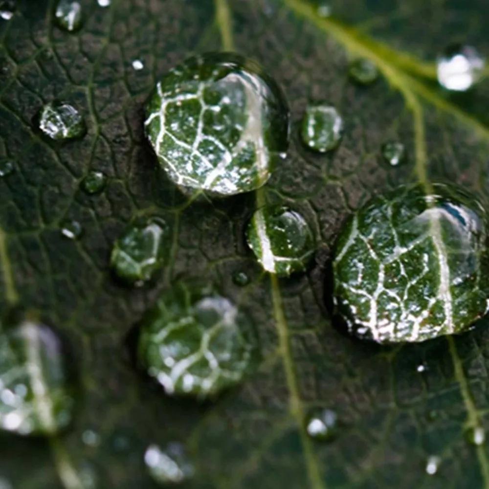 Ozdobný paraván Zelené listy kapky vody - 145x170 cm, čtyřdílný, klasický paraván
