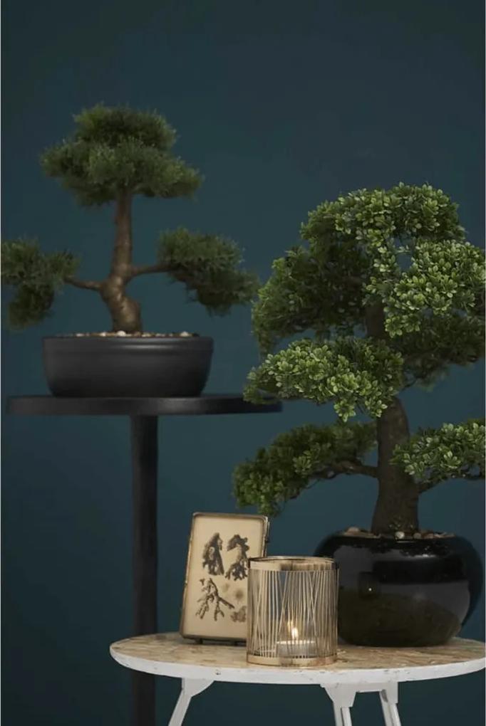 Emerald Umělý fíkus mini bonsai zelený 47 cm 420006 [414506]