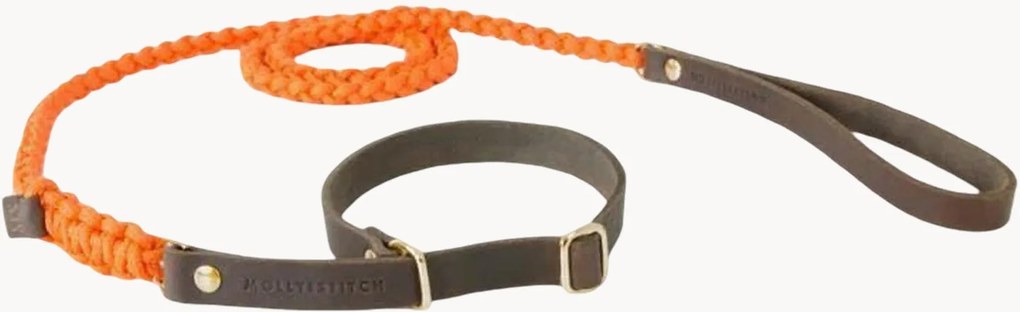 Kožené vodítko pro retrívra Touch of Leather, v různých velikostech