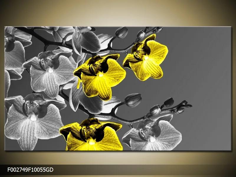 Obraz tří žlutých květů  (), 40 dalších rozměrů