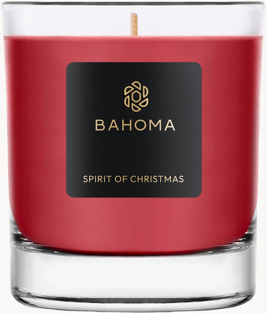 Ručně vyrobená vonná svíčka Sprit of Christmas (černý rybíz, hřebíček a ambra)