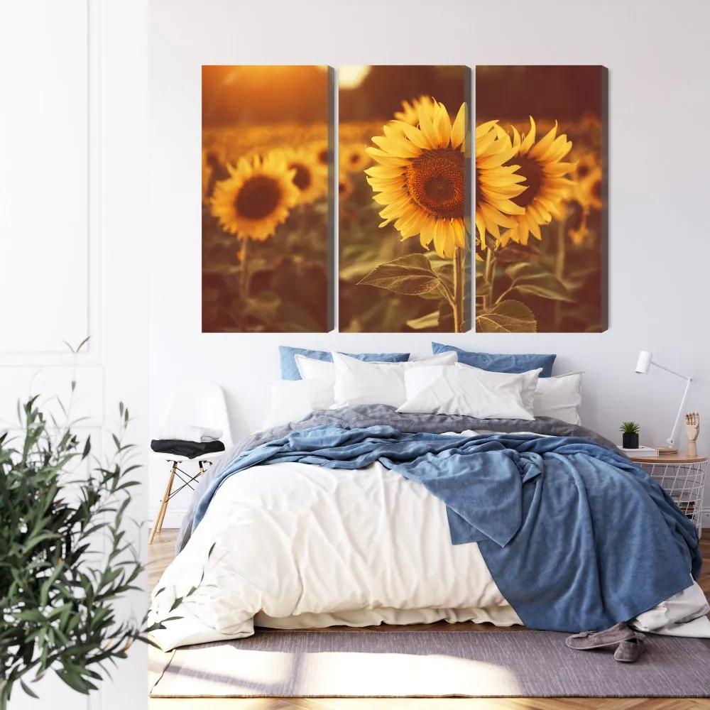 Vícedílný obraz Pole Slunečnic V Retro 3D Stylu Nedostatek Nedostatek Plátno Canvas 120x80