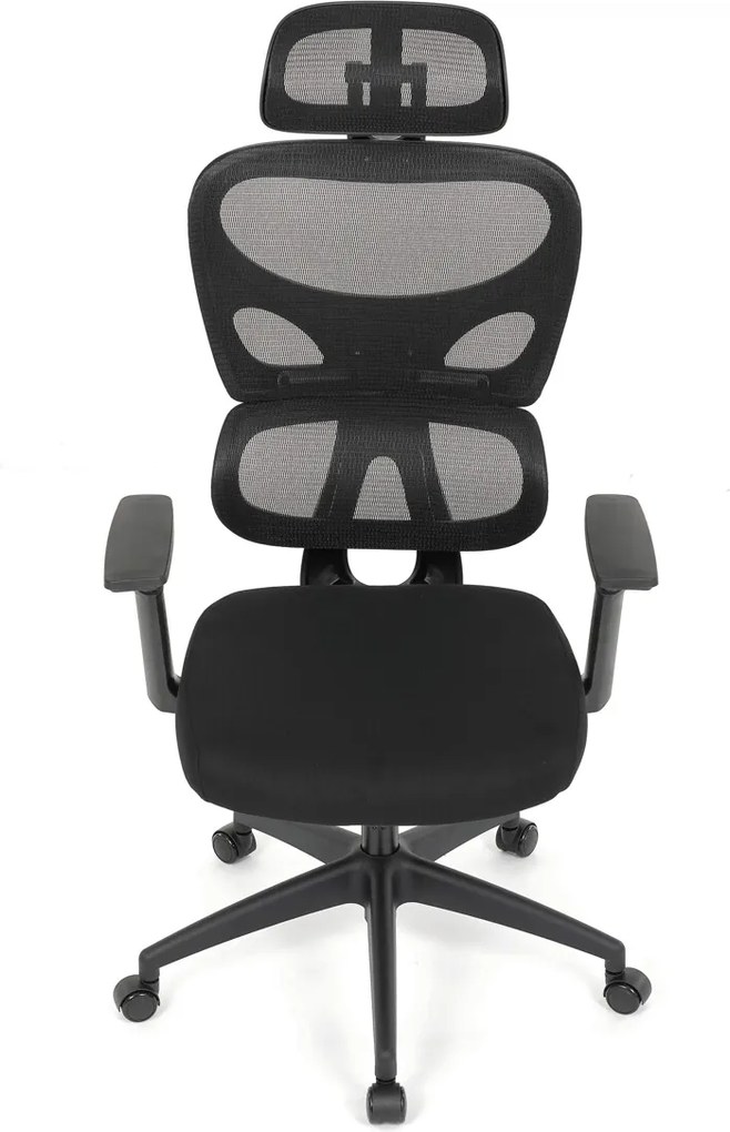 Ergonomická kancelářská židle LEXON - černá síťovina