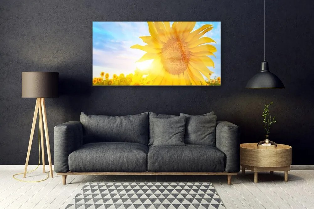 akrylový obraz Slunečnice Květ Slunce 120x60 cm
