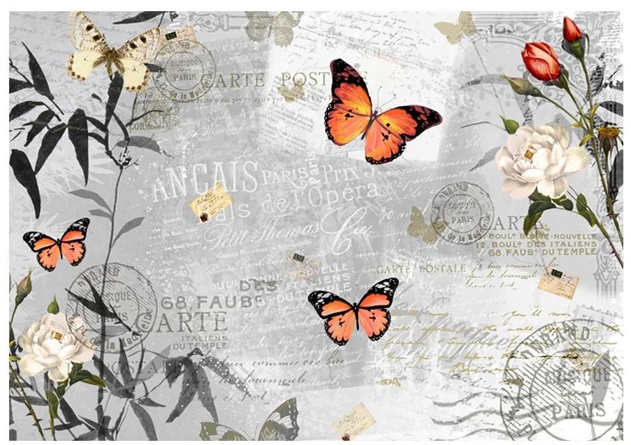 Fototapeta - Butterflies song