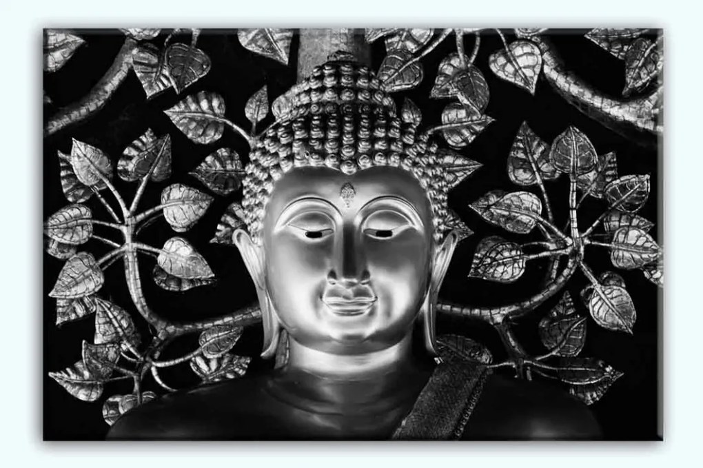 Obraz na plátně Buddha Velikost (šířka x výška): 120x80 cm