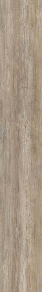 Oneflor Vinylová podlaha lepená ECO 30 066 Prestige Oak Natural  - dub - Lepená podlaha