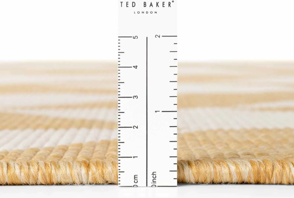 Ted Baker, Kusový koberec Ted Baker Haringey 106380 Yellow White, 160x230, žlutá, chodba / předsíň