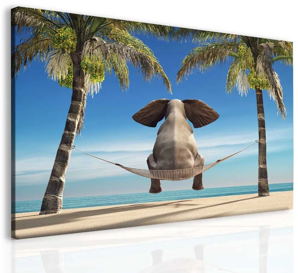 Obraz slon na pláži Velikost (šířka x výška): 40x30 cm