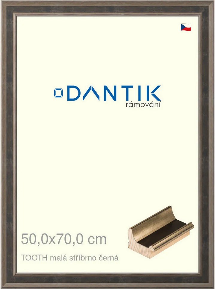 DANTIK rámeček 50x70 | TOOTH malá stříbrno černá (Plexi Čiré)