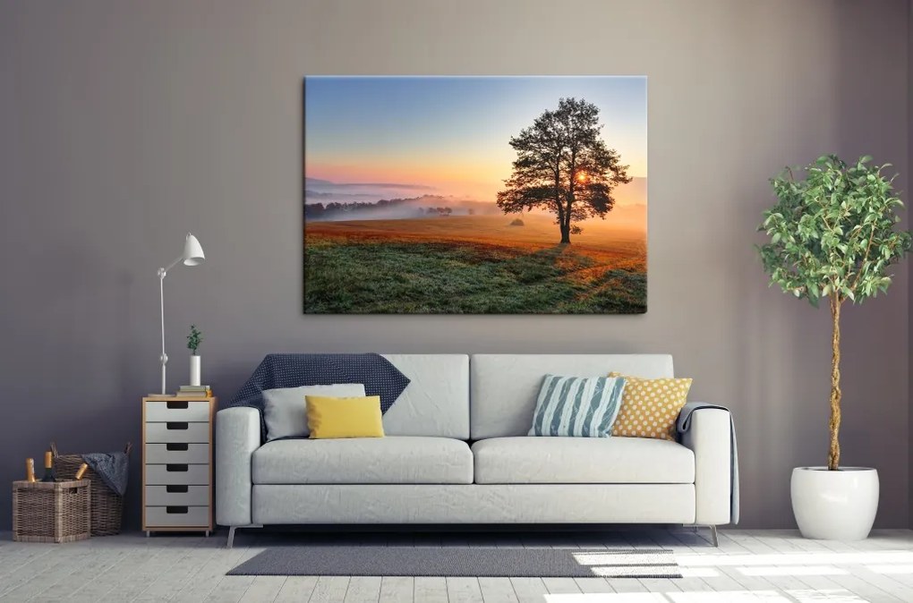 Obraz strom v mlze Velikost (šířka x výška): 90x60 cm