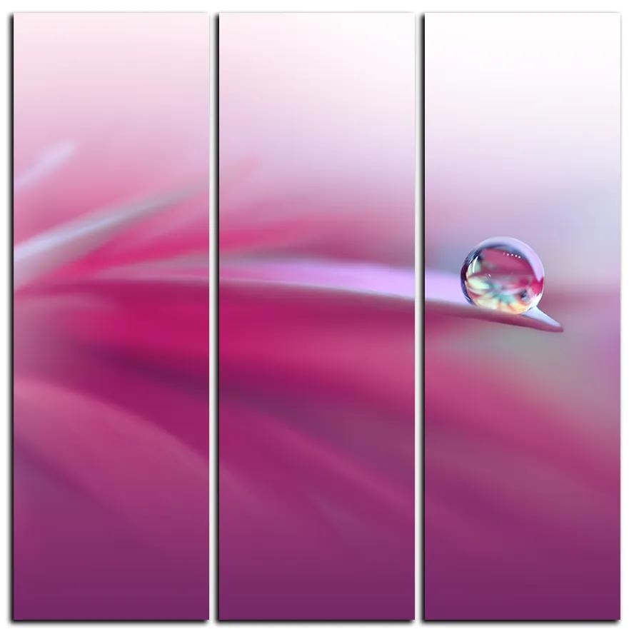 Obraz na plátně - Krásné květinové pozadí - čtverec 3215B (75x75 cm)