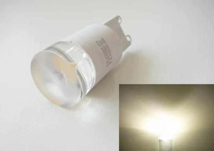 LED žárovka G9-SE2W/360 Denní bílá