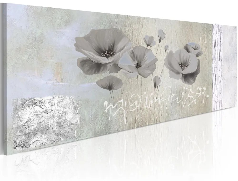 Obraz na plátně Bimago - Poppies in hibernation 120x40 cm,