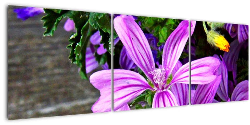 Obraz - luční květiny (150x50 cm), 40 dalších rozměrů
