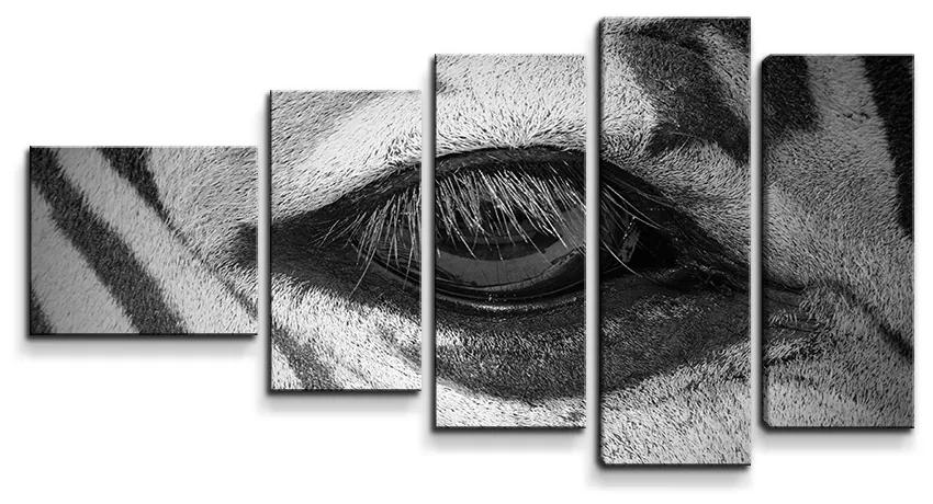 Sablio Obraz - 5-dílný Oko zebry - 100x60 cm