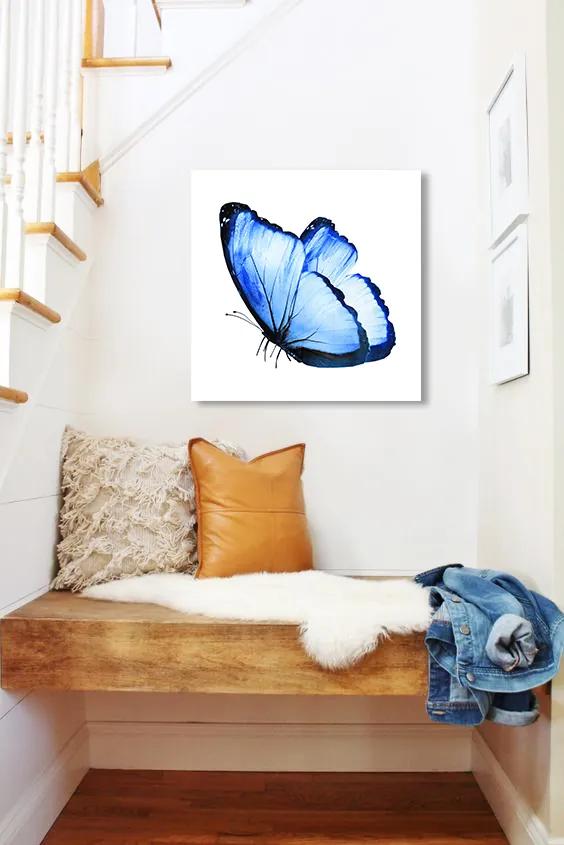 Obraz Modrý Motýl na zrcadle Mirrora 14 - 50x50 cm