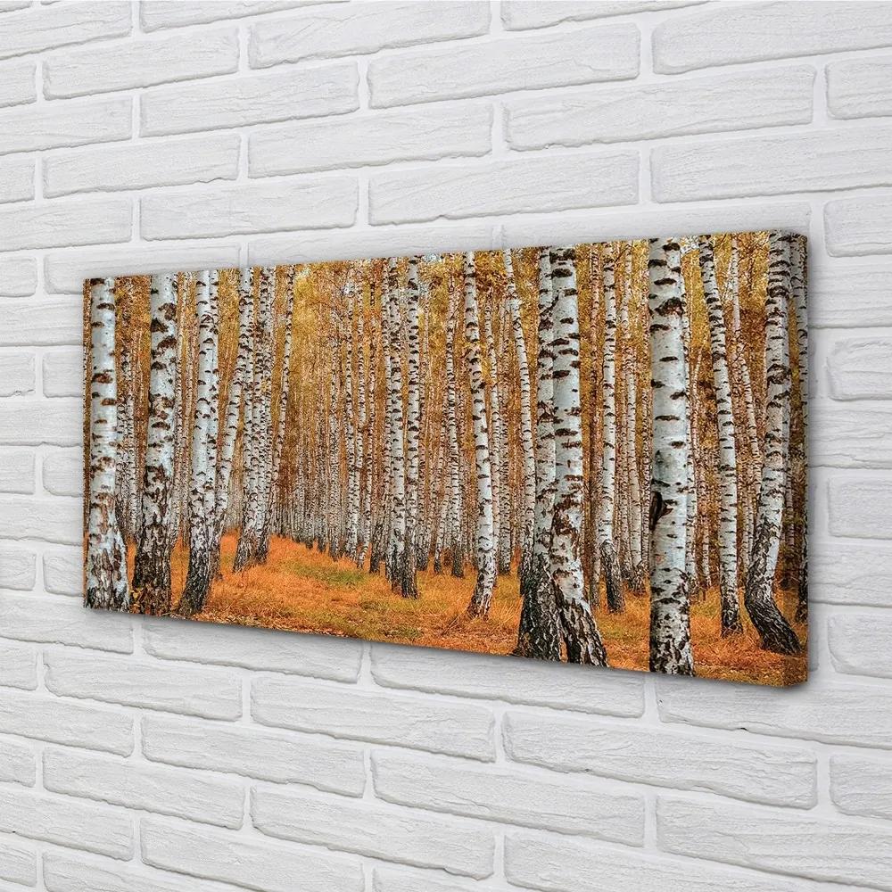 Obrazy na plátně podzimní stromy 120x60 cm