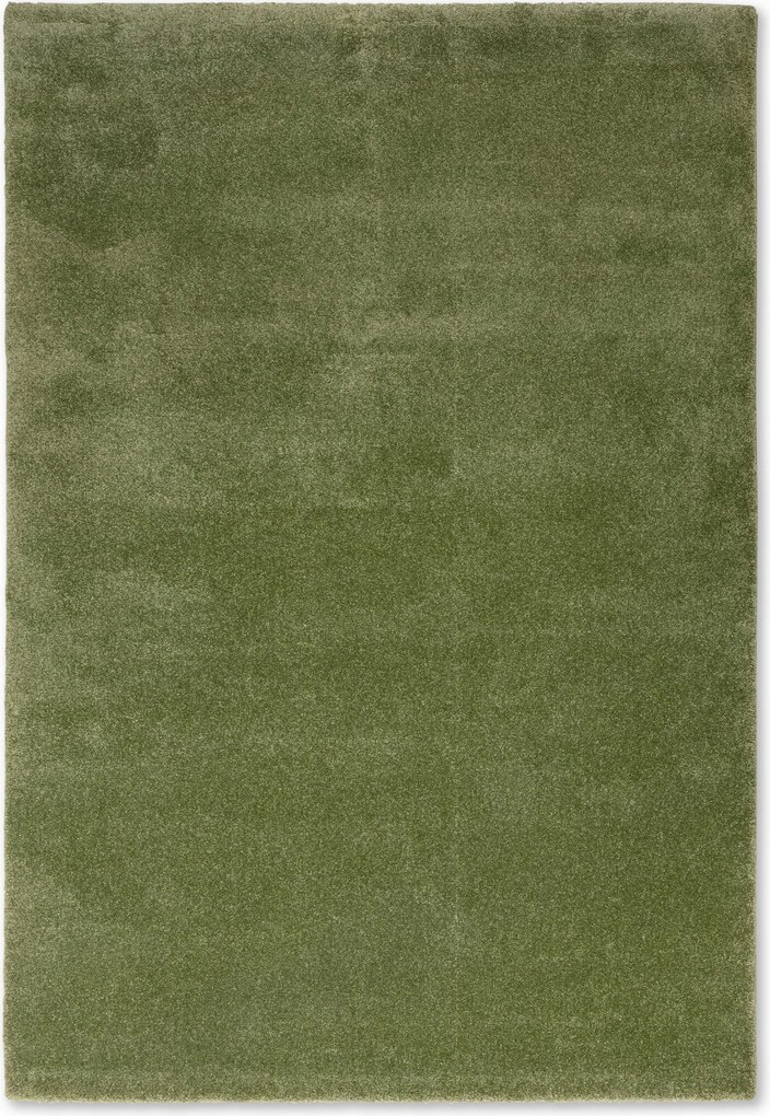 XXXLutz TKANÝ KOBEREC, 200/290 cm zelená Astra - Tkané koberce - 001250121972