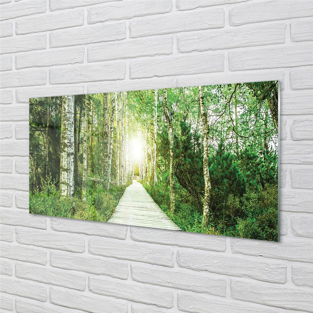 Obraz na skle Bříza lesní cesta 120x60 cm