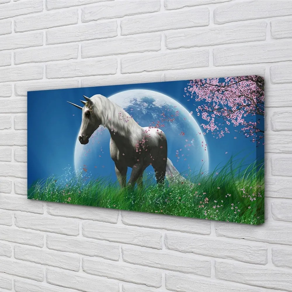 Obrazy na plátně Pole jednorožec moon 120x60 cm