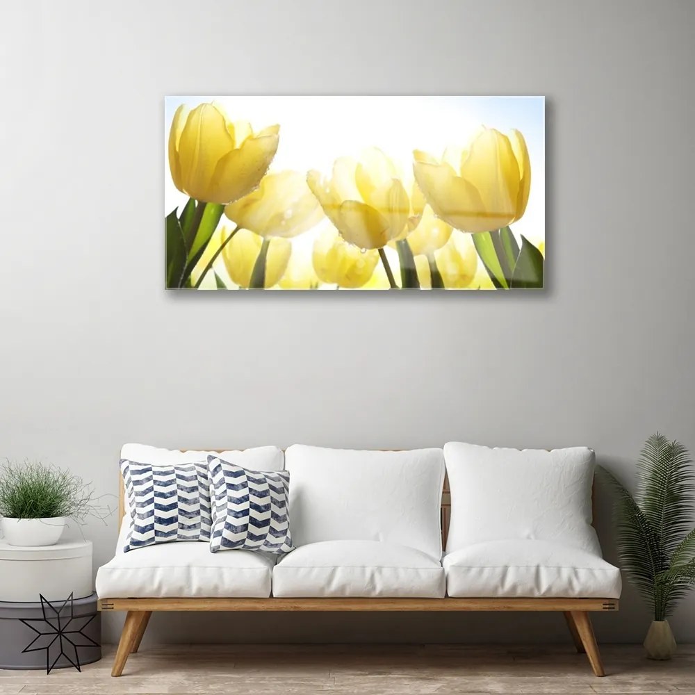 Obraz na skle Tulipány Květiny Paprsky 100x50 cm