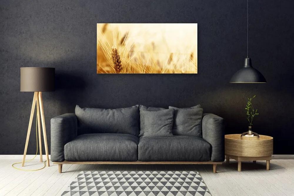 Obraz na skle Pšenice Rostlina Příroda 140x70 cm