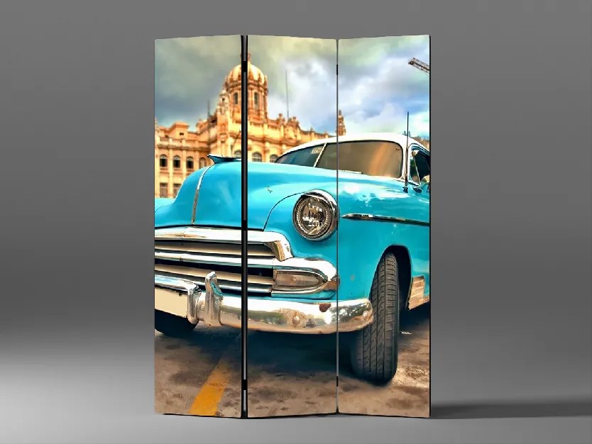 Paraván havana auto Rozměr: 135 x 180 cm