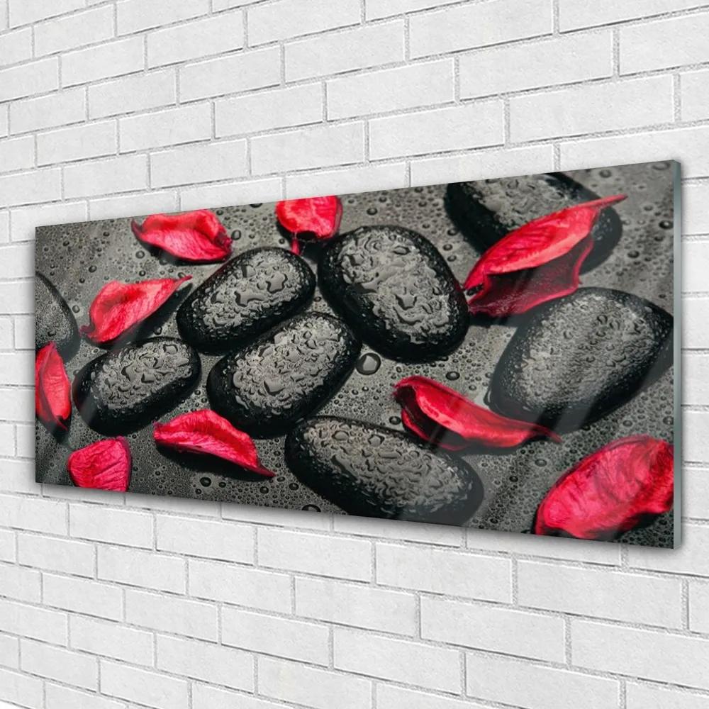 akrylový obraz Plátky Kameny Umění 125x50 cm