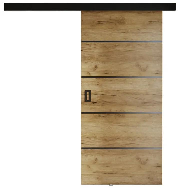 Interiérové ​​posuvné dveře Juwentyn Plus 100, Barva: jasan tmavý