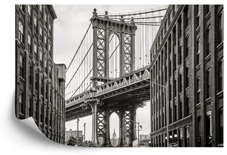 Fototapeta Bridge In New York City Vliesová tapeta 208x146