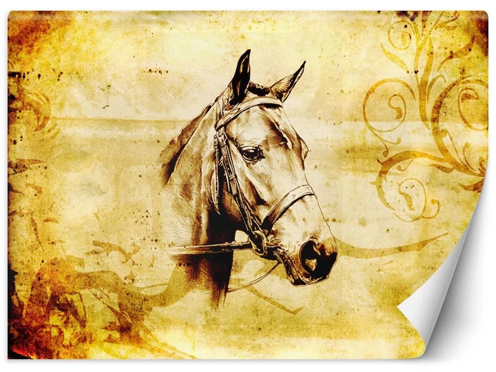 Gario Fototapeta Skica koně Materiál: Vliesová, Rozměry: 200 x 140 cm