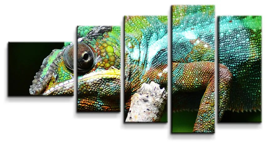 Sablio Obraz - 5-dílný Chameleon - 100x60 cm