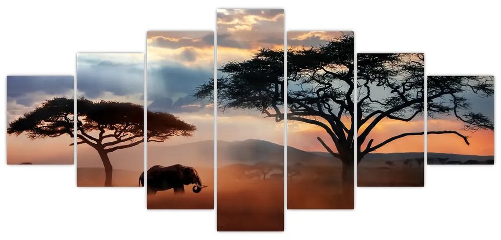 Obraz - Národní park Serengeti, Tanzánie, Afrika (210x100 cm)