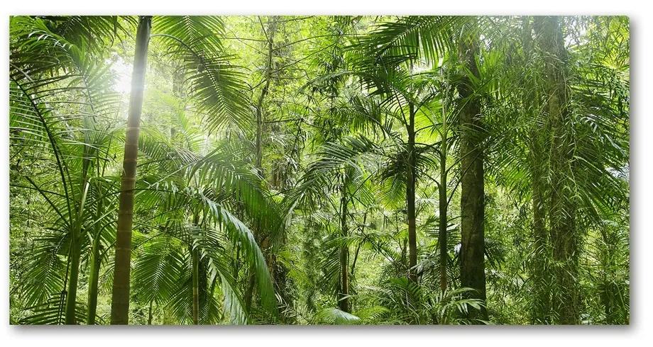 Wallmuralia Foto obraz akrylové sklo Tropický les 120x60 cm