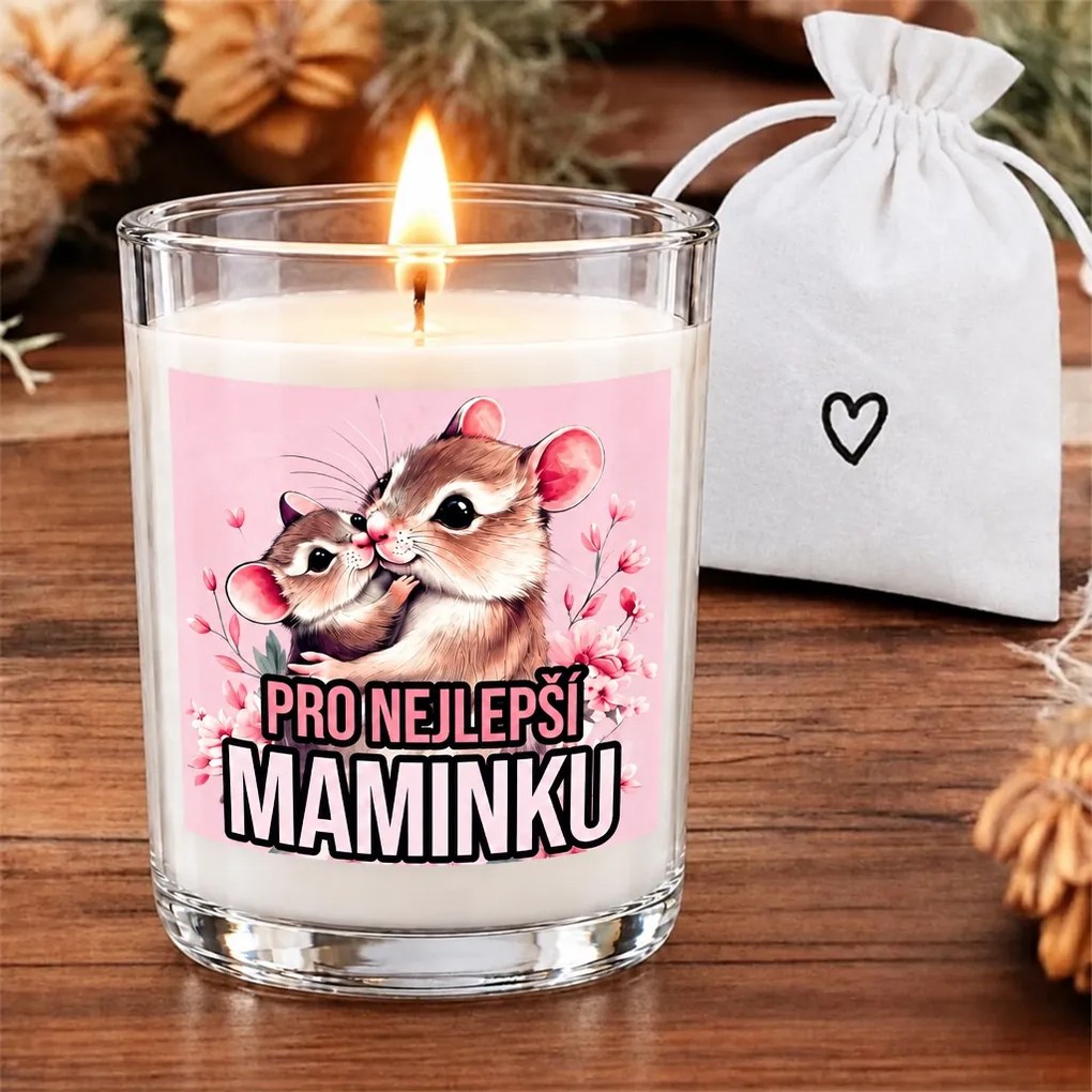 Ahome CZ Krásná svíčka Pro maminku myšky