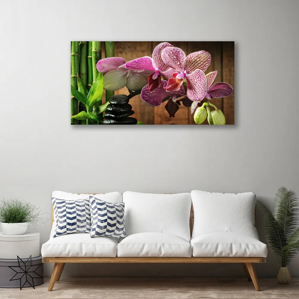 Obraz na plátně Kvetiny Bambus Rostlina 120x60 cm