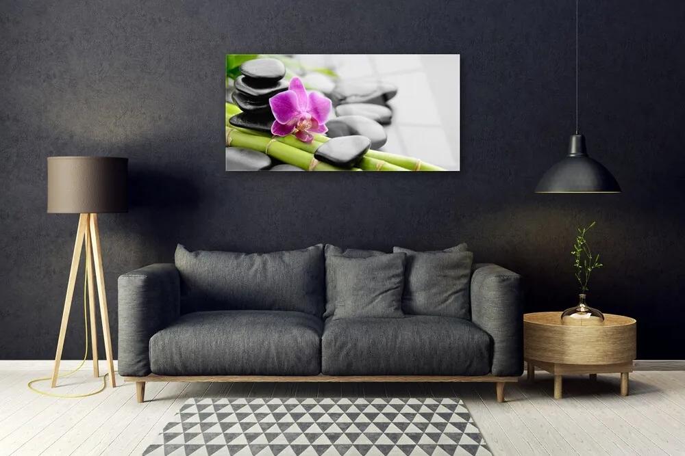 Obraz na skle Bambus Květ Kameny Umění 100x50 cm