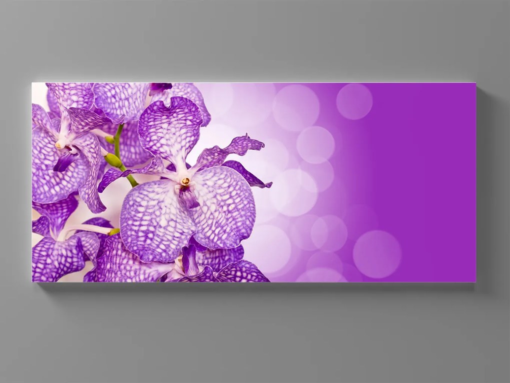 Obraz fialová orchidej Rozměr: 80 x 35 cm