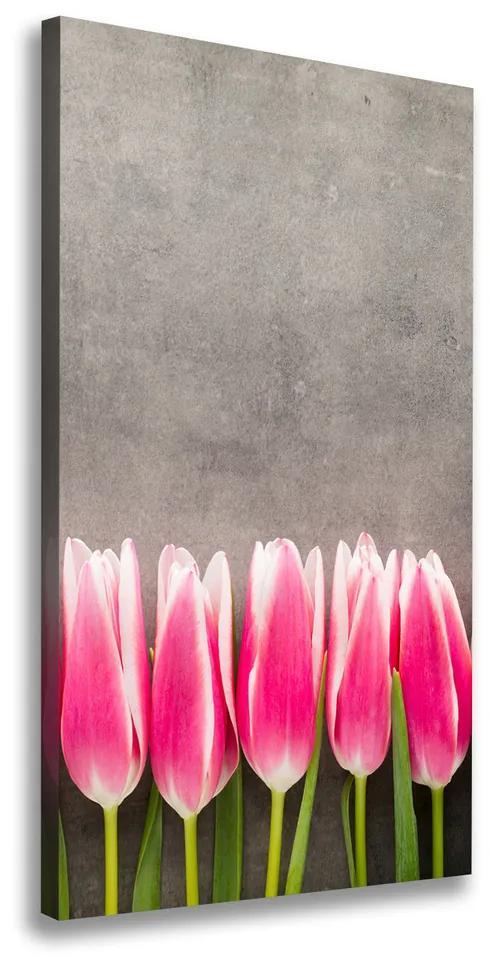 Wallmuralia Foto obraz na plátně Růžové tulipány 50x100 cm