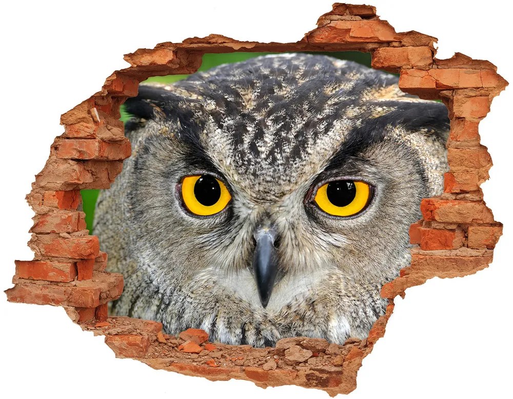 Wallmuralia Díra 3D fototapeta na stěnu nálepka Sova 90x70 cm