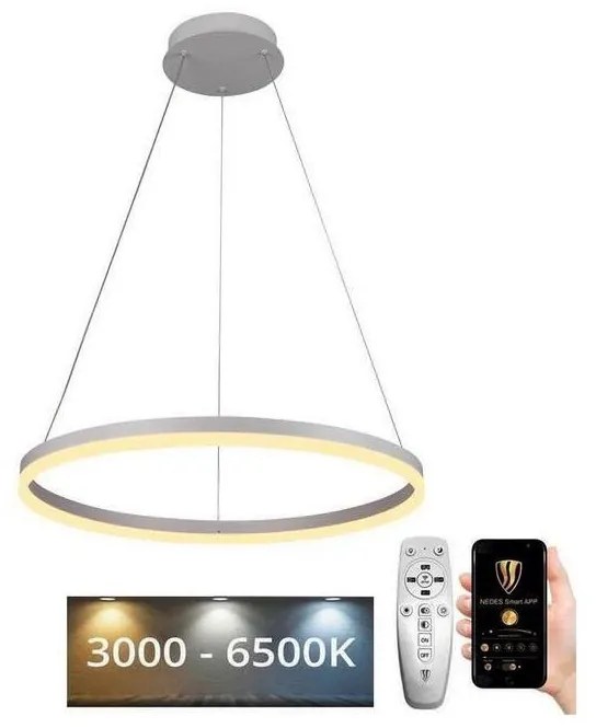 Brilagi - LED Stmívatelný lustr na lanku CIRCLE LED/42W/230V 3000-6500K + DO